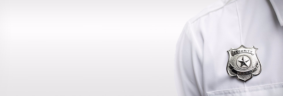 DMCA.com monitoring service finds copies of your content on the internet